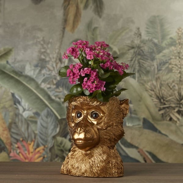 Pot De Fleurs Singe Bruce Or - Majdeltier